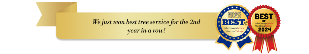ArborPro Tree Experts - Portland Tree Service, Tree Removal, Trimming ...